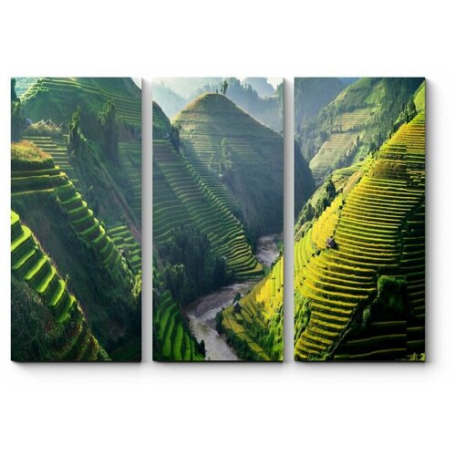 Модульная картина Вьетнамские рисовые поля в горах 90x65