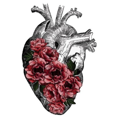 Постер / Плакат / Картина Цветы на сердце 40х50 см в подарочном тубусе