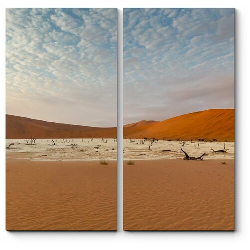 Модульная картина Умиротворенная пустыня 60x60