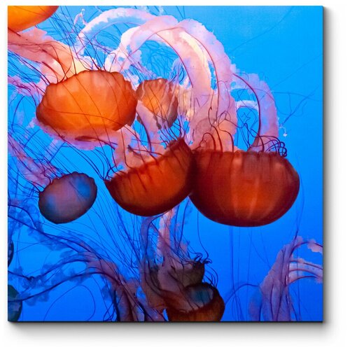 Модульная картина Чарующие океанские медузы 40x40