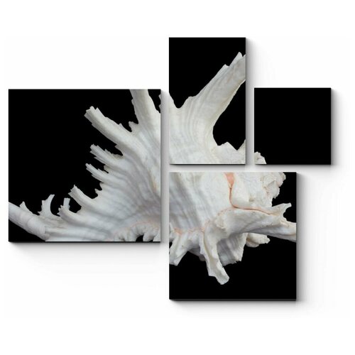 Модульная картина Морская раковина72x60