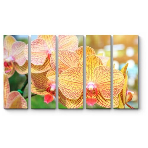 Модульная картина Тайская орхидея 180x108