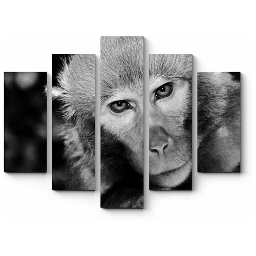 Модульная картина Портрет харизматичной обезьянки95x76
