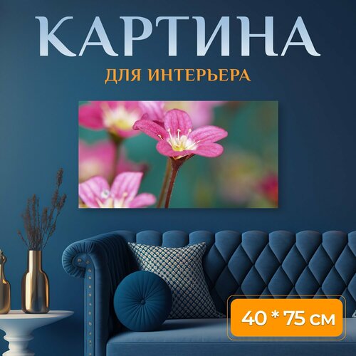 Картина на холсте "Цвести, цветок, природа" на подрамнике 75х40 см. для интерьера