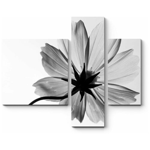 Модульная картина Монохромный цветок 100x83