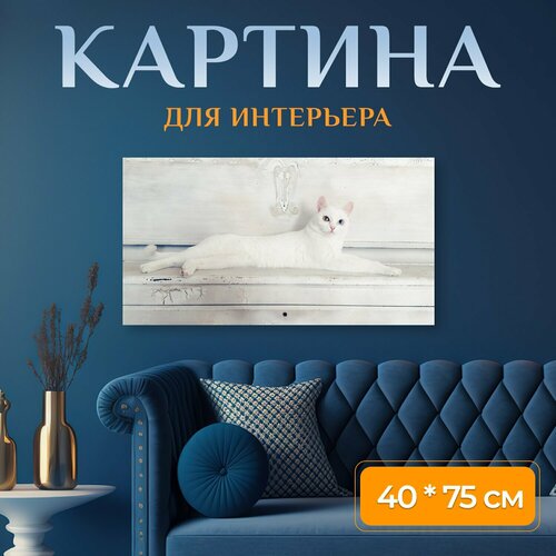 Картина на холсте "Животное, кошка, милый" на подрамнике 75х40 см. для интерьера