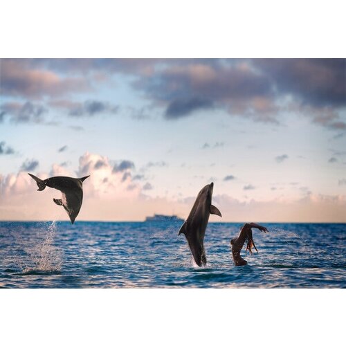 Дельфин картина постер 20 на 30 см, шнур-подвес в подарок