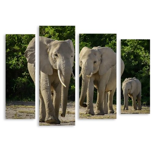 Модульная картина на холсте "Слоны" 120x91 см
