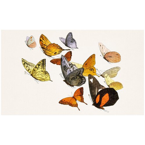 Постер / Плакат / Картина Бабочки в полете 90х120 см в подарочном тубусе