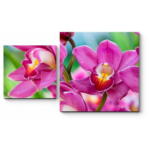 Модульная картина Тайские орхидеи, Чиангмай (Таиланд) 110x66