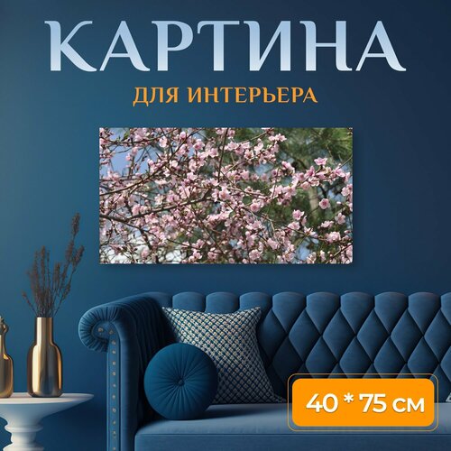 Картина на холсте "Цветок, весна, розовый" на подрамнике 75х40 см. для интерьера