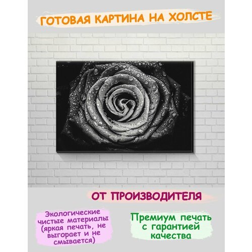 3D картина на холсте с подрамником на стену тёмная роза с каплями воды постер