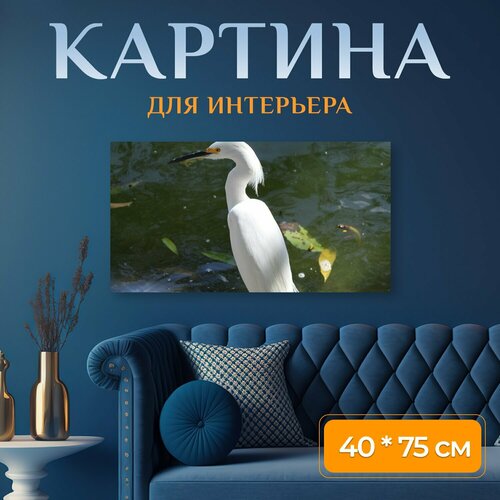 Картина на холсте "Белый, цапля, дикий" на подрамнике 75х40 см. для интерьера