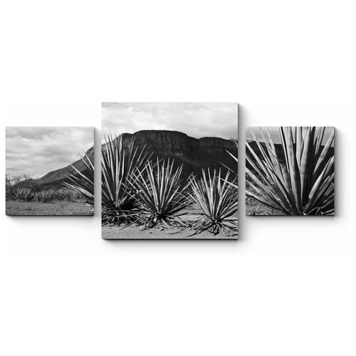 Модульная картина Мексиканский пейзаж 150x64