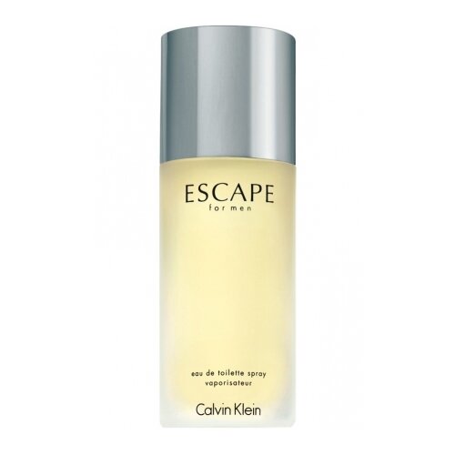 CALVIN KLEIN туалетная вода Escape for Men, 100 мл