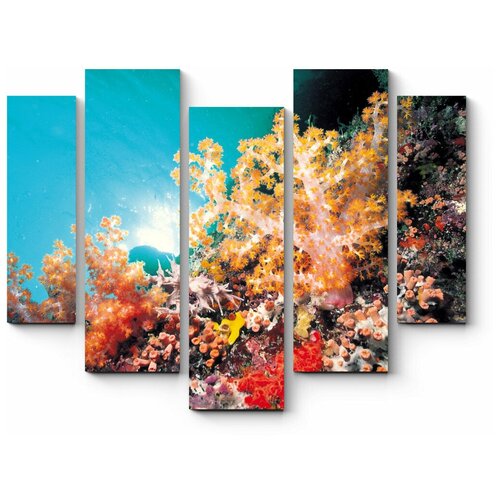 Модульная картина Яркий коралловый мир 211x171