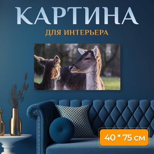 Картина на холсте "Олень, олени, животные" на подрамнике 75х40 см. для интерьера