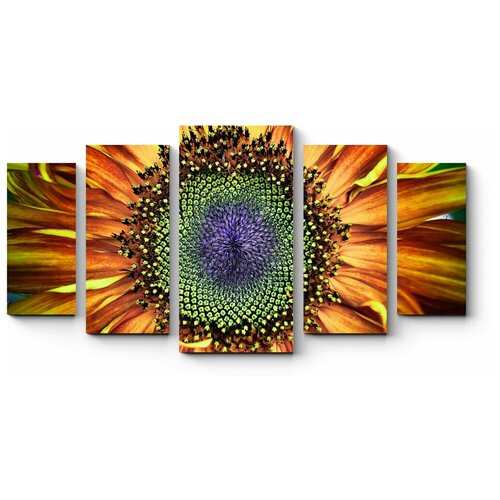 Модульная картина Внутри цветка солнца 120x66