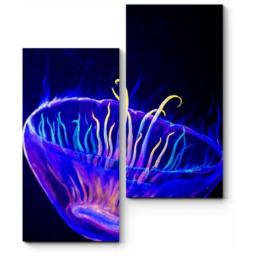 Модульная картина Сияющие медузы60x75