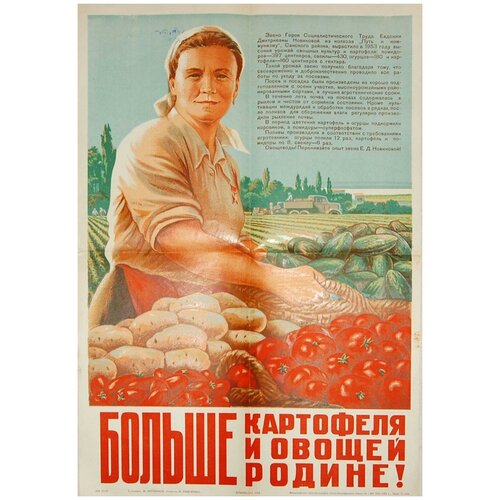 Постер / Плакат / Картина Советские постеры - Больше картофеля и овощей Родине! 90х120 см в подарочном тубусе