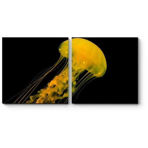 Модульная картина Золотая медуза120x60