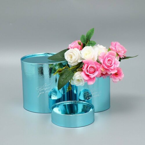 Набор коробок 2в1 круглые «Подарок для тебя», голубой металлик, 12 х 12, 15 х 15 см