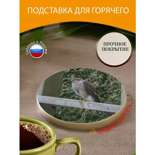 Подставка под горячее "Евразийский перепелятник, перепелятник, хищная птица" 10 см. из блого мрамора