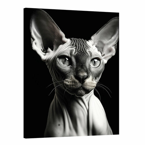 Интерьерная картина 50х70 "Кошка сфинкс: обнаженная нежность"