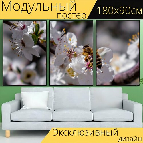 Модульный постер "Цветы, весна, пчела" 180 x 90 см. для интерьера