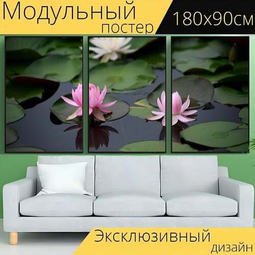 Модульный постер "Водяные лилии, водные растения, цветок" 180 x 90 см. для интерьера