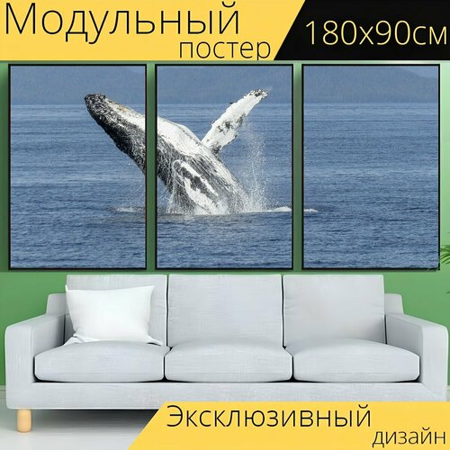Модульный постер "Горбатый кит, природное зрелище, природа" 180 x 90 см. для интерьера