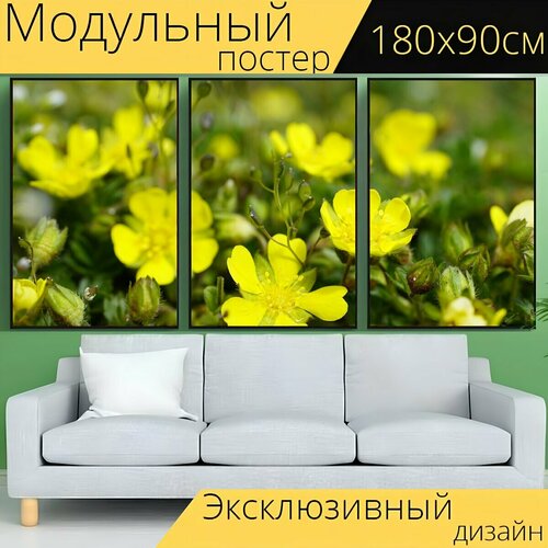Модульный постер "Цветы, желтый, весна" 180 x 90 см. для интерьера