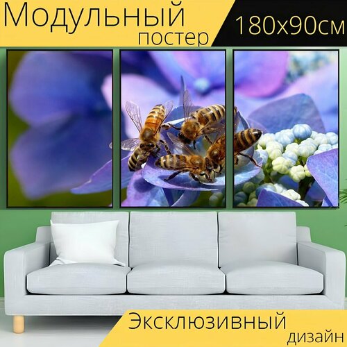 Модульный постер "Завод, гортензия, тарелка гортензия" 180 x 90 см. для интерьера