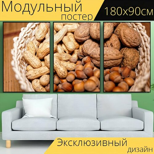Модульный постер "Орехи, семена, грецкий орех" 180 x 90 см. для интерьера