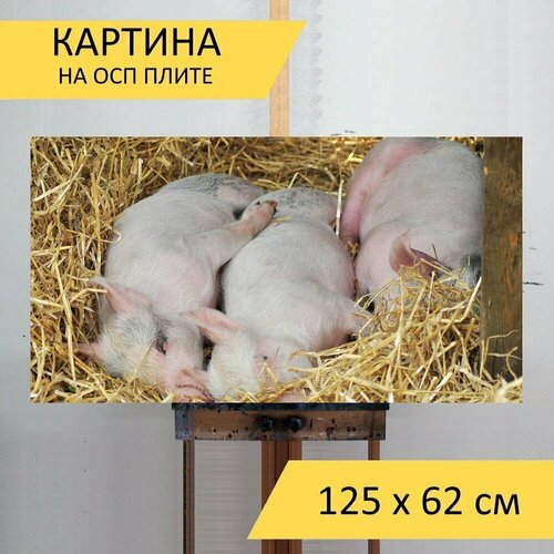 Картина на ОСП 125х62 см. "Свиньи, спящей свиньи, ферма" горизонтальная, для интерьера, с креплениями