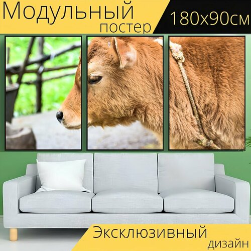 Модульный постер "Телец, корова, животное" 180 x 90 см. для интерьера