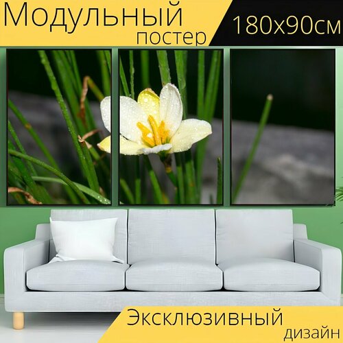 Модульный постер "Цветок, белый, весна" 180 x 90 см. для интерьера