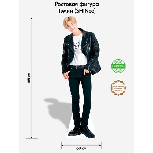 Аксессуар для фотосессий, Indoor-ad, (SHINee) Тэмин 2 ростовая фигура