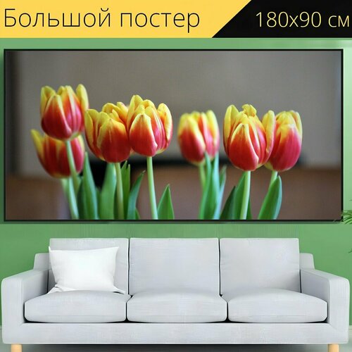 Большой постер "Цветок, тюльпаны, расцветает" 180 x 90 см. для интерьера
