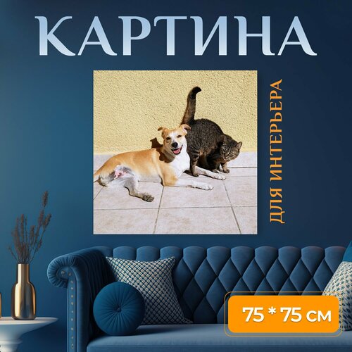 Картина на холсте "Домашние питомцы, кошка, собака" на подрамнике 75х75 см. для интерьера