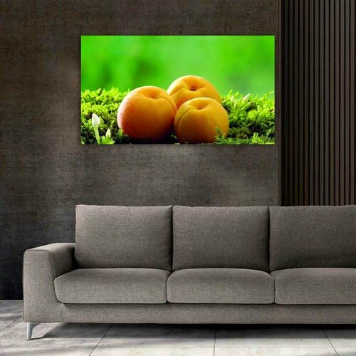 Картина на холсте 60x110 LinxOne "Fruit plant" интерьерная для дома / на стену / на кухню / с подрамником