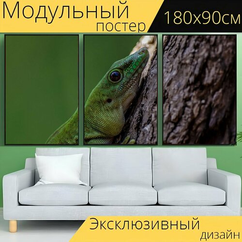 Модульный постер "Геккон, рептилия, животное" 180 x 90 см. для интерьера