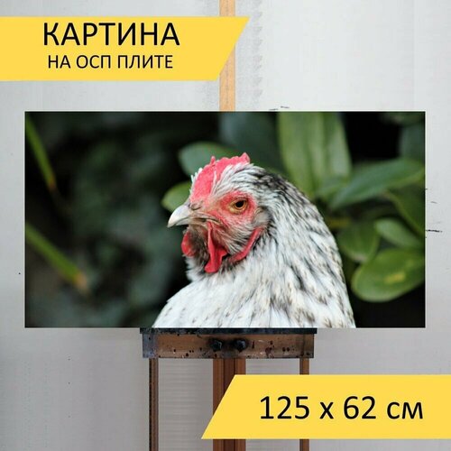 Картина на ОСП 125х62 см. "Курица, природа, домашняя птица" горизонтальная, для интерьера, с креплениями