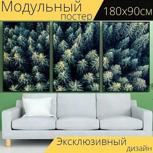 Модульный постер "Деревья, елей, лес" 180 x 90 см. для интерьера