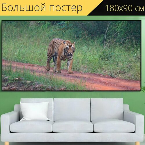 Большой постер "Тигр, дикий, животное" 180 x 90 см. для интерьера