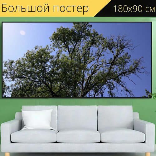 Большой постер "Дерево, небо, зеленый" 180 x 90 см. для интерьера