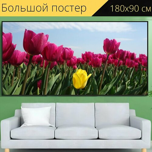 Большой постер "Тюльпаны, луковицы, луковицы цветов" 180 x 90 см. для интерьера
