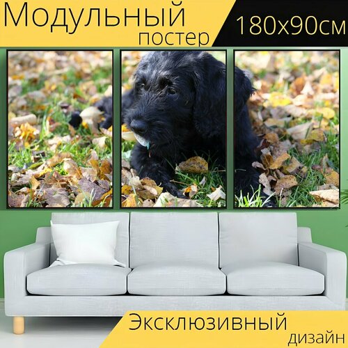 Модульный постер "Собака, щенок, младенец" 180 x 90 см. для интерьера