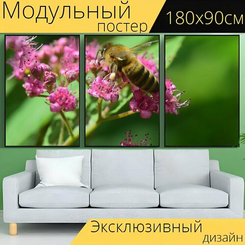 Модульный постер "Пчела, собирать, воробей" 180 x 90 см. для интерьера