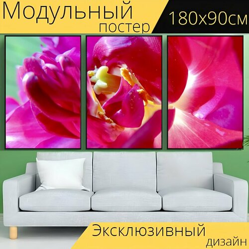 Модульный постер "Тюльпан, цвести, цветок" 180 x 90 см. для интерьера
